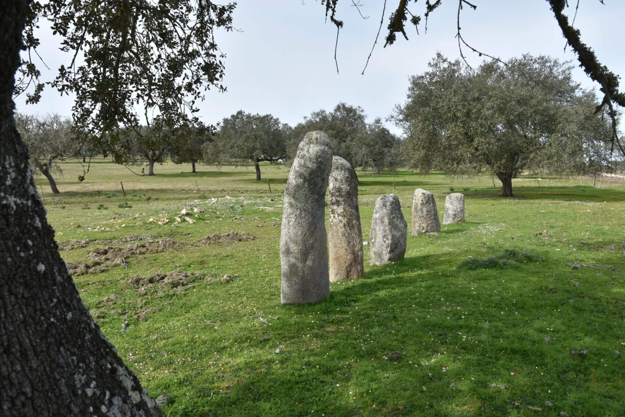 Megalitismo – Museu Interativo Do Megalitismo