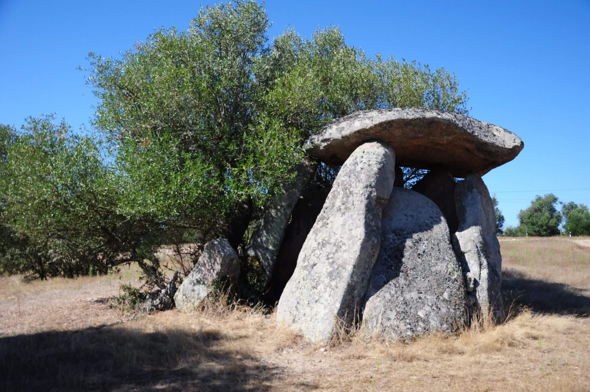 Museu Interativo Do Megalitismo